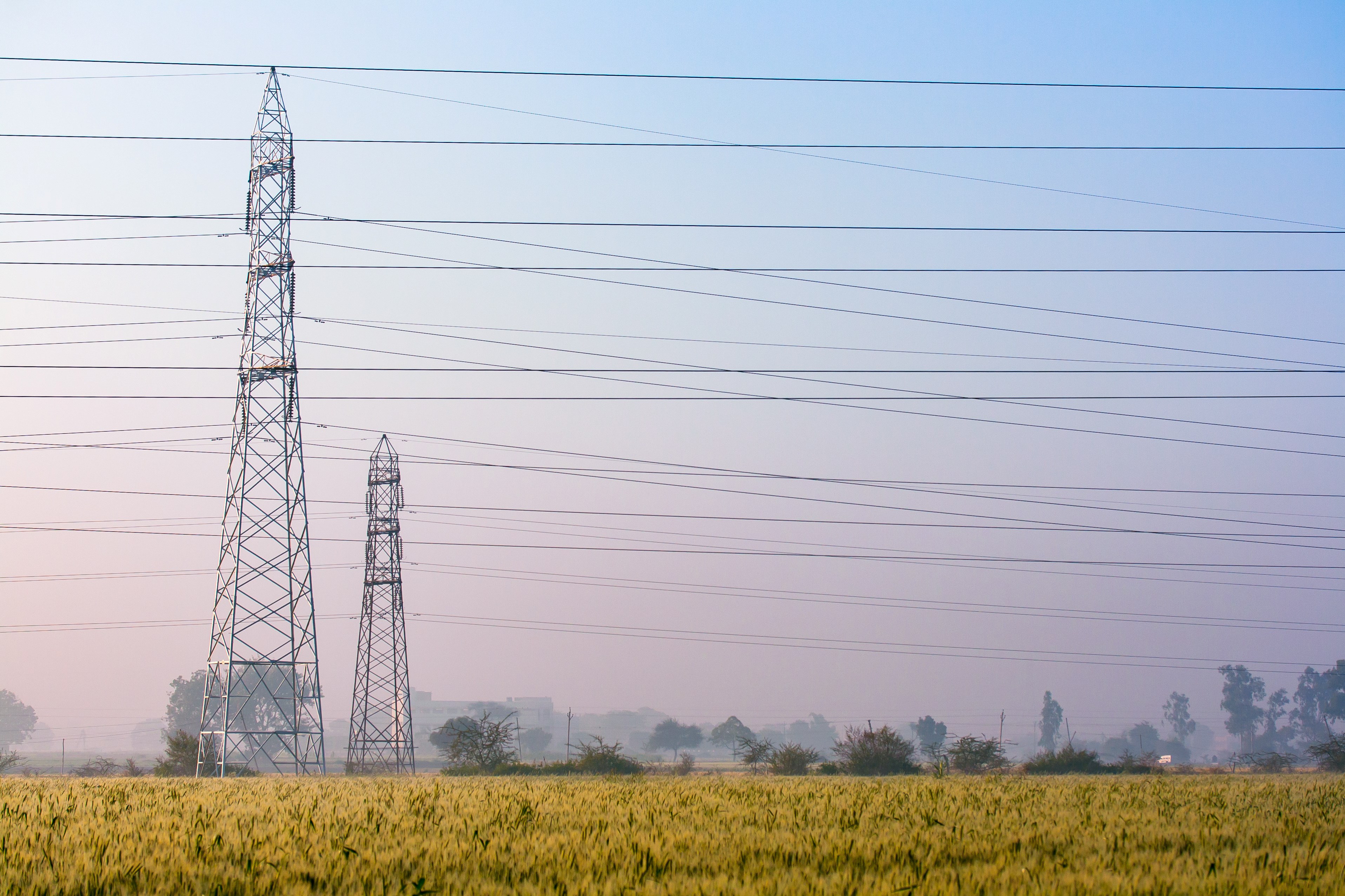 The cost of corruption in Indian electricity | Article | VoxDev