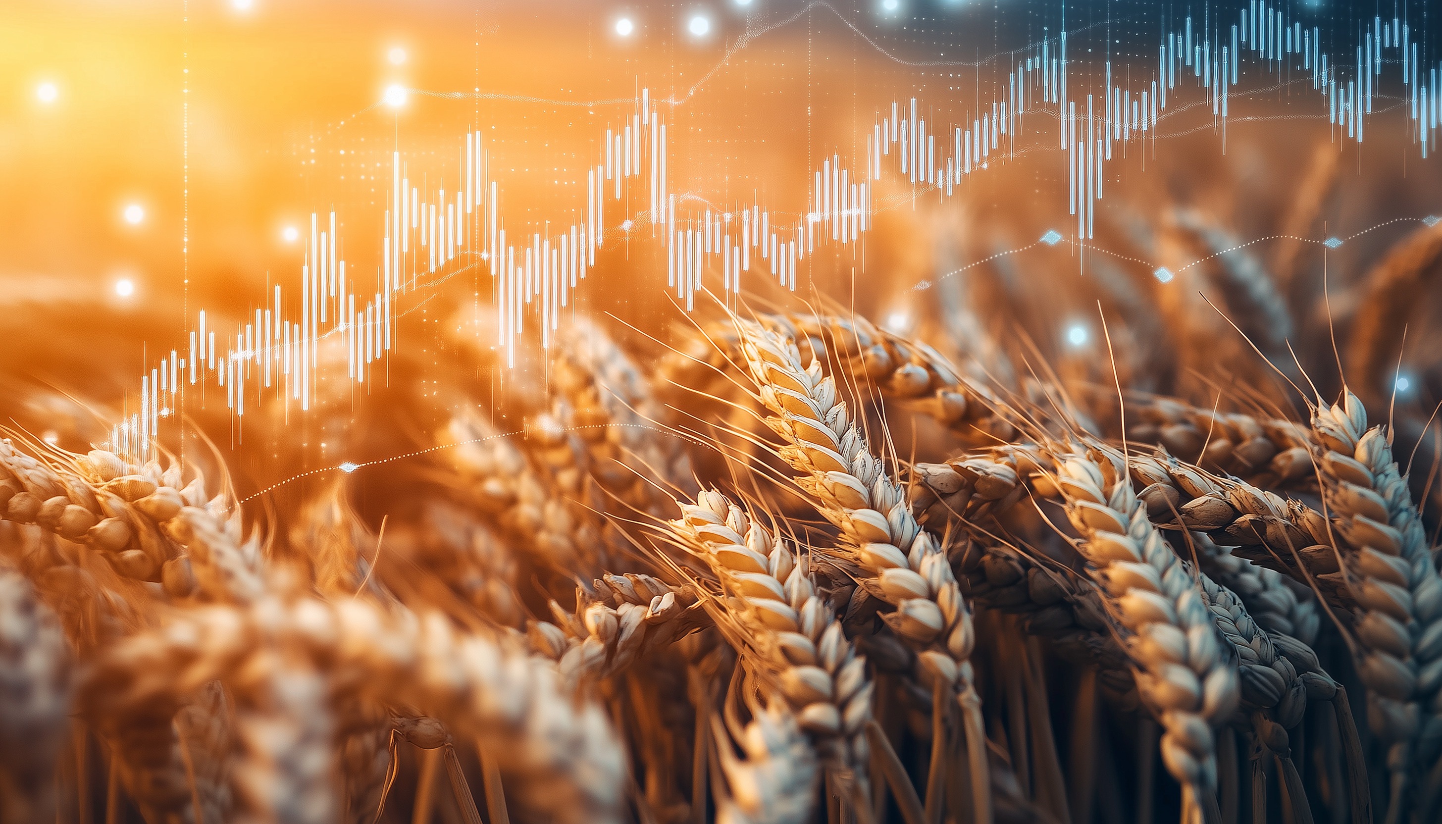 How did global trade drive the shift to modern farming? | VoxDev