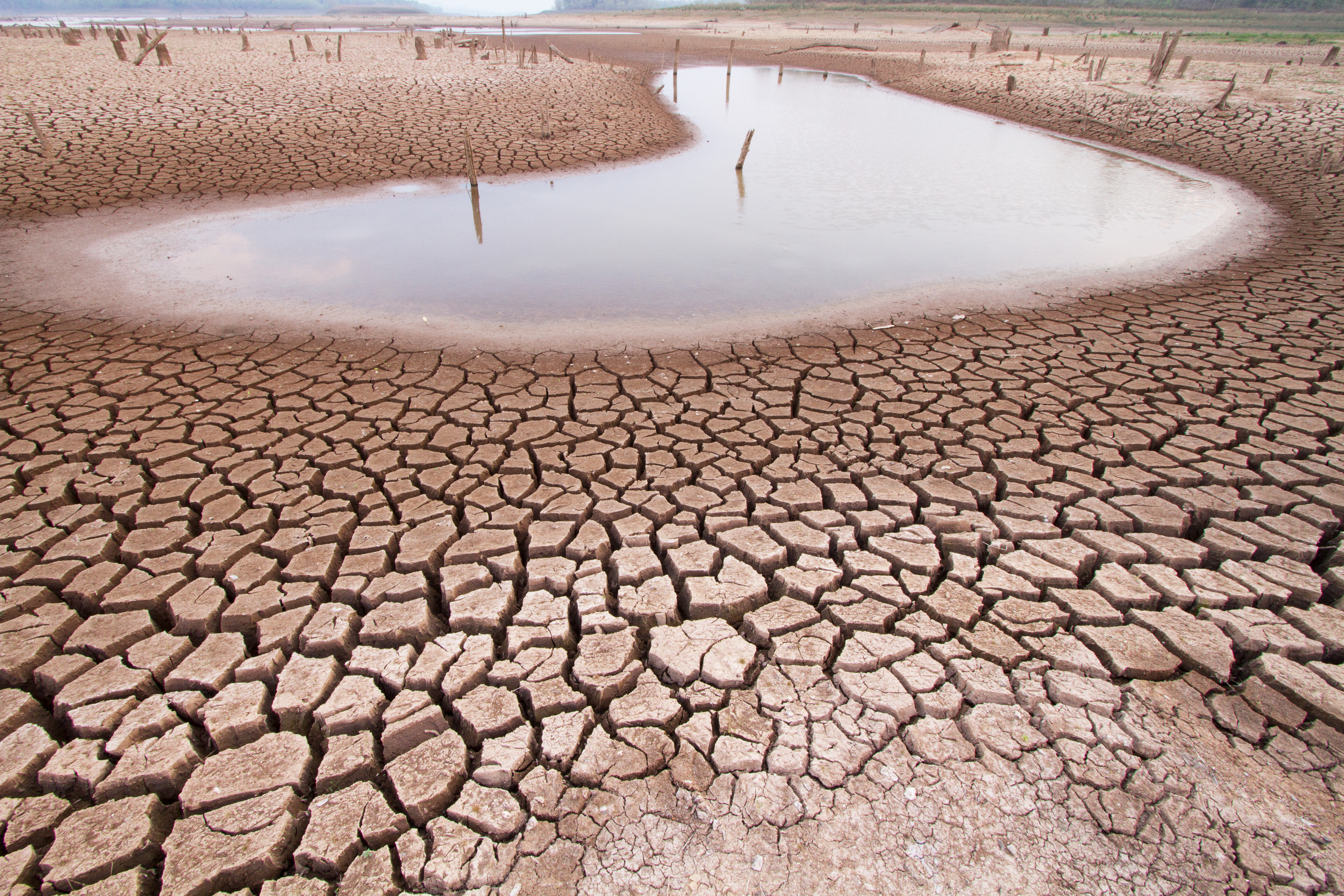 Climate Adaptation|VoxDev