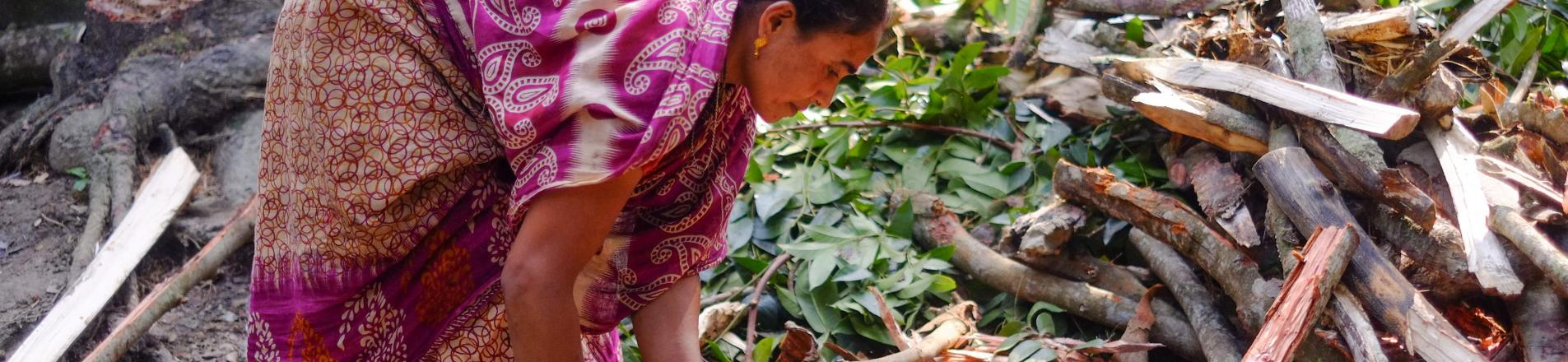 Female labour force participation in Bangladesh | Article | VoxDev